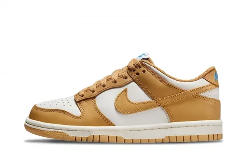 Sneakers Nike Dunk Low (GS) 'Honeycomb Sail' (FB9109-700) | WSS